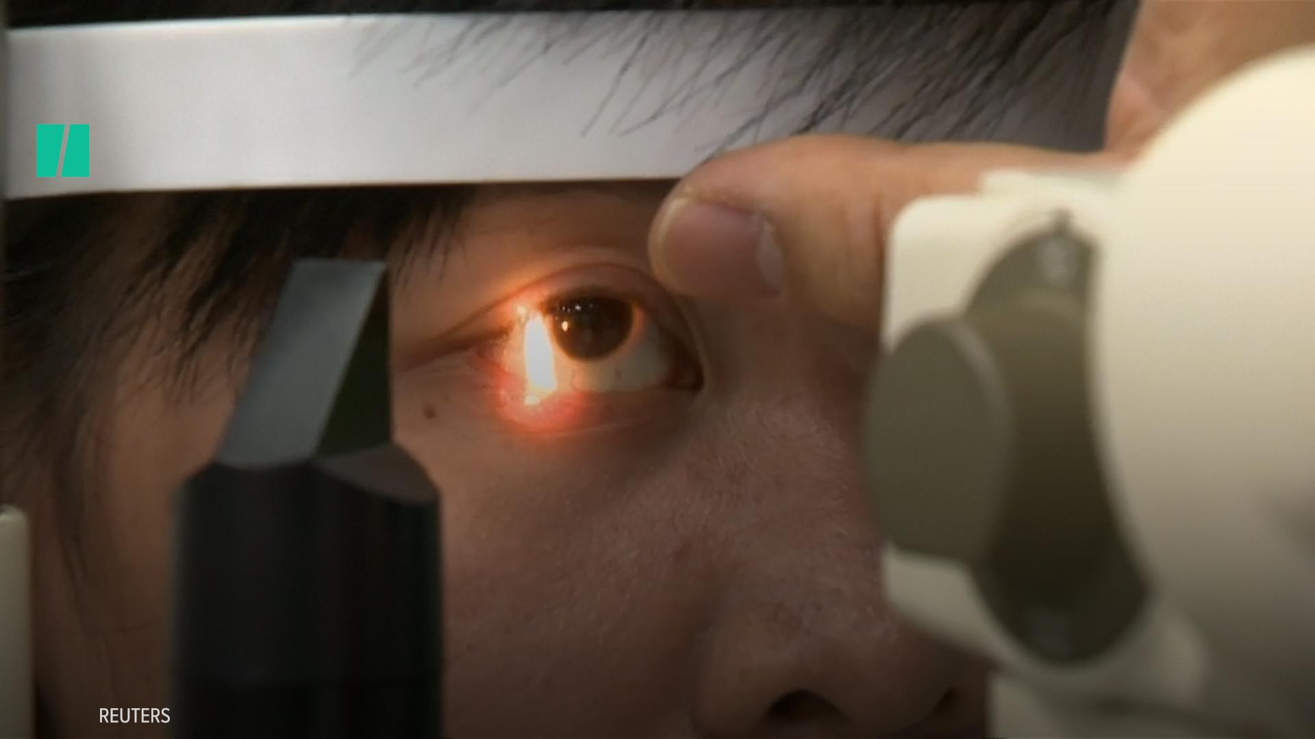 Beekeeper Who Corrals Swarm At MLB Game Is All The Buzz For What ...