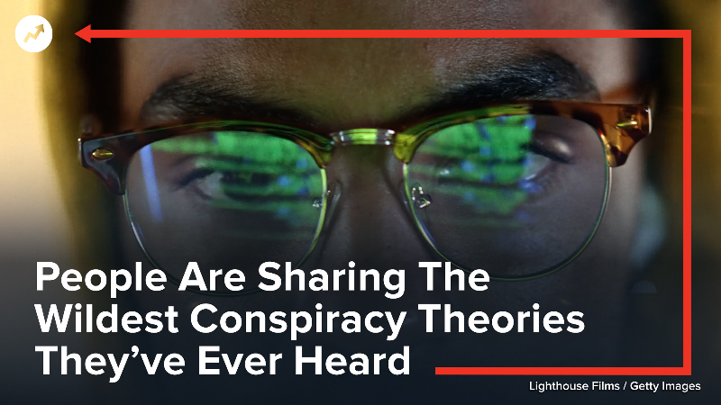 Reporter Video Goes Viral Amid Lizard Person Rumors | HuffPost Latest News