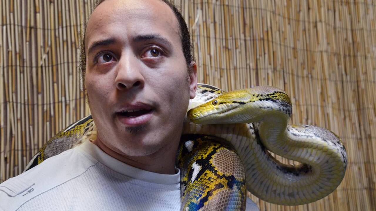 These 3 Exotic Pets Are Legal And For Sale At Bluffton Store these-3-exotic-pets-are-legal-and-for-sale-at-bluffton-store