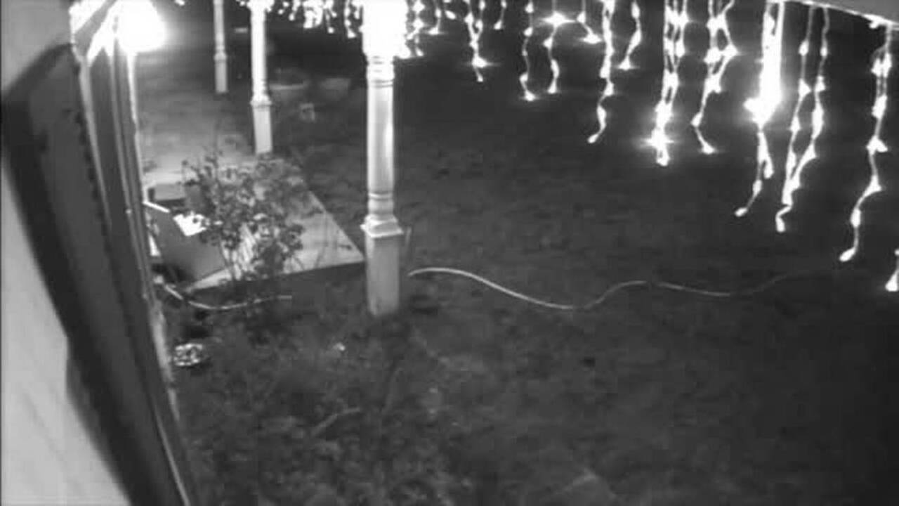 Lacey couple catches package thief on video | Macon Telegraph