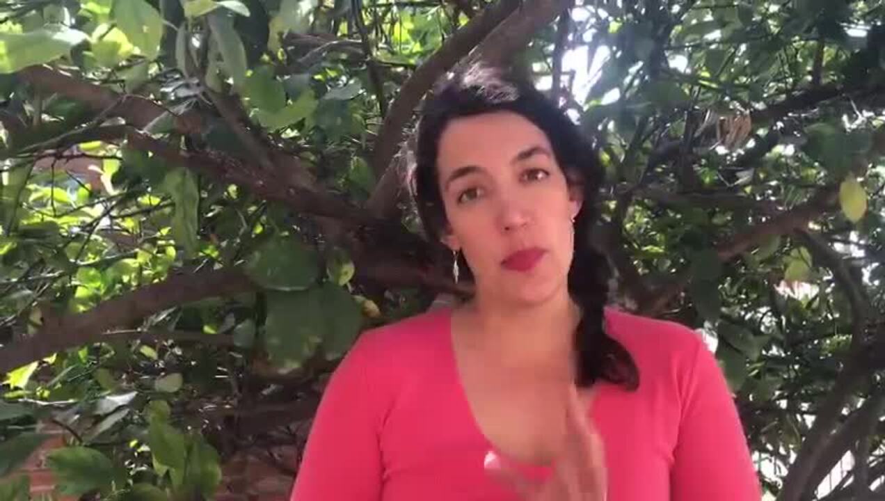 Peniley Ramírez destaca como periodista de investigación | El Nuevo Herald