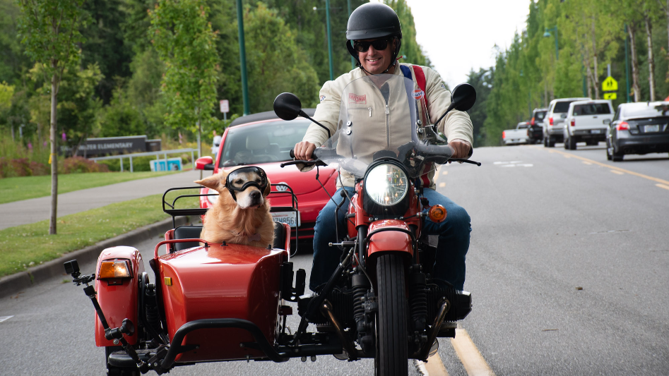 Video: Gig Harbor man and his dog ride motorcycle together | Tacoma ...