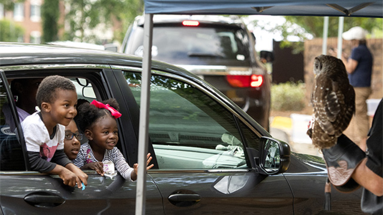 Macon museum holds drive-thru mini-zoo during coronavirus pandemic ...