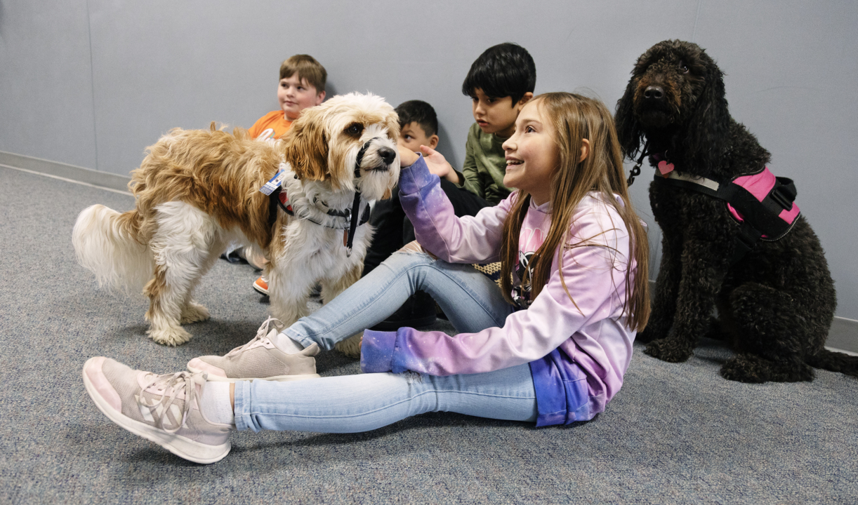 Idaho school uses dogs to support their students emotionally | Idaho ...