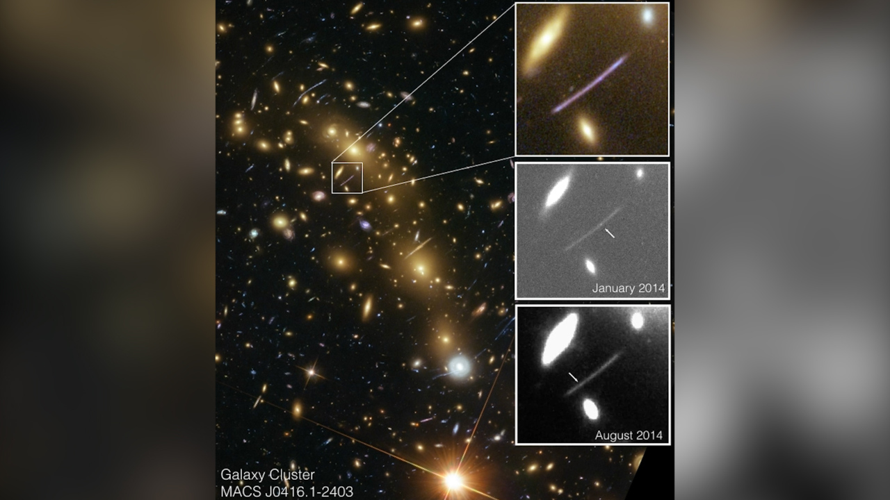 USC astronomy professor helps find most distant star ever seen | The State