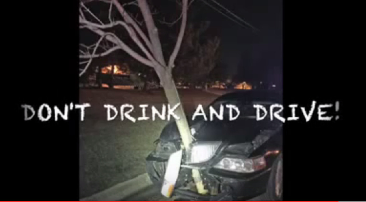 Cop pulls over car with tree embedded in grille, driver charged with ...