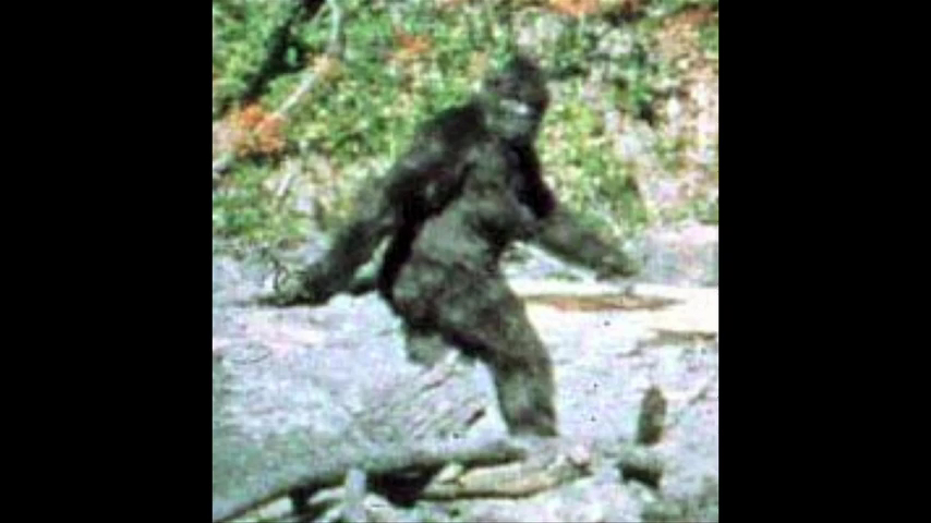 Researcher Thinks He Solved Bigfoot Mystery, And You Can Do The Math ...
