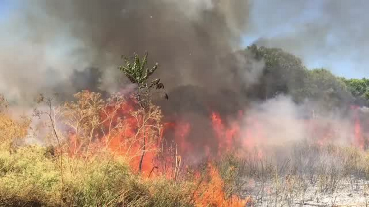 Video: Grass fire burns along American River Parkway near Cal Expo ...