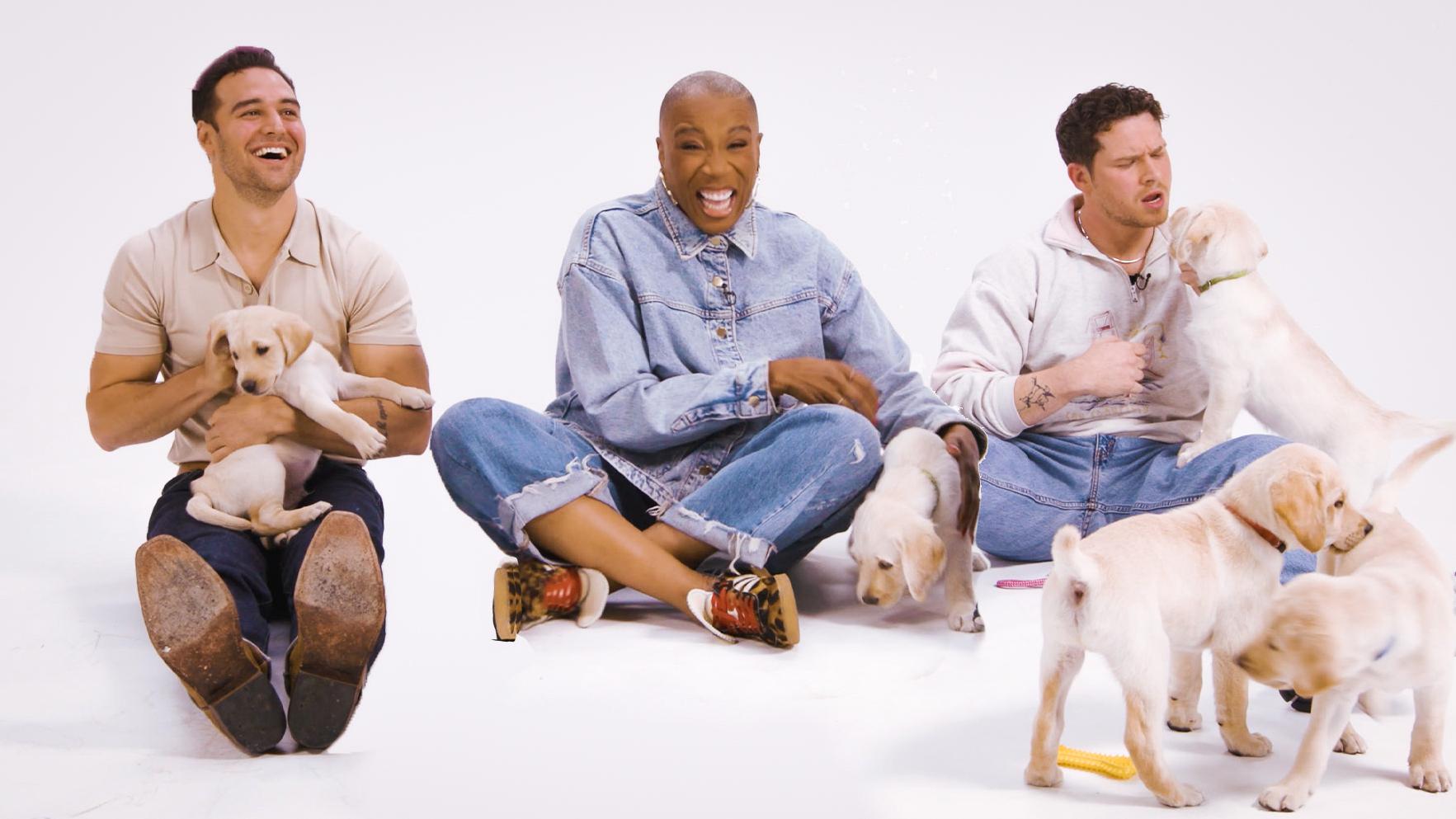 Funniest Posts About Cats And Dogs This Week (Jan. 17-23) | HuffPost ...