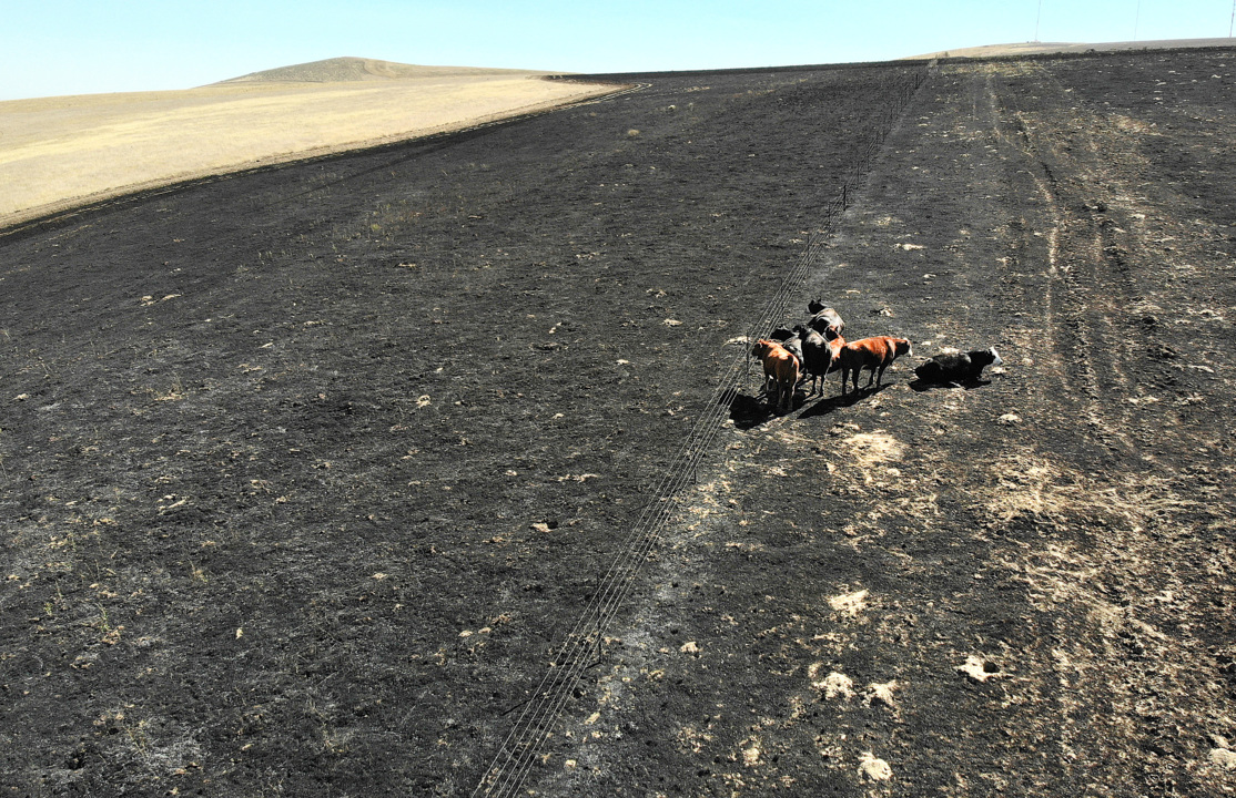 Tri-Cities fire crews from 10 fire agencies extinguished a 600-acre ...