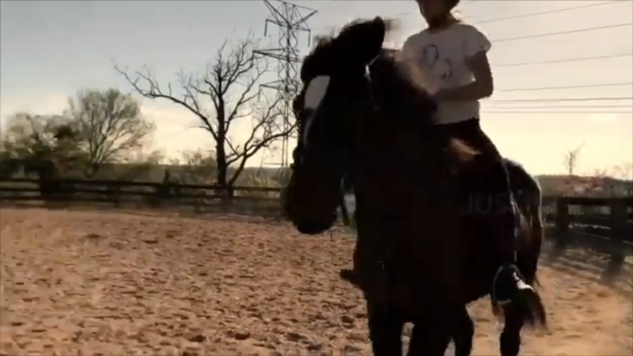 Placer County announces horse set to join mounted unit | Sacramento Bee